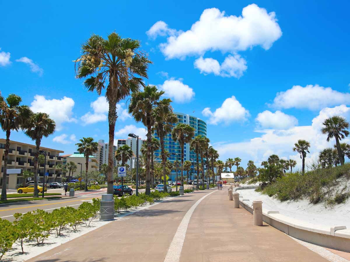 Florida Captions: 105 Best Florida Instagram Captions For Your Photos ...