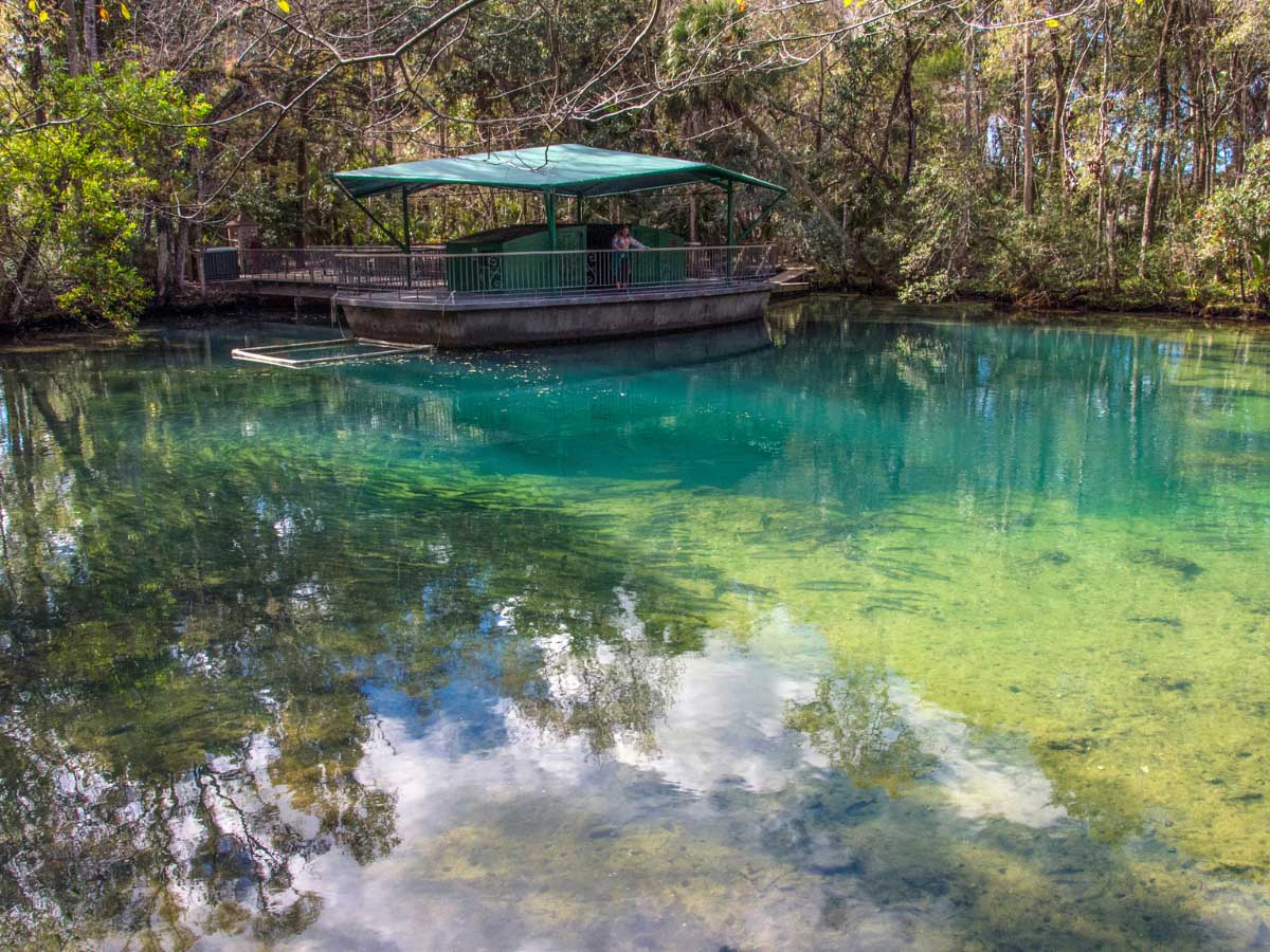 16 Best Places to See and Kayak with Manatees in Florida (+Practical ...