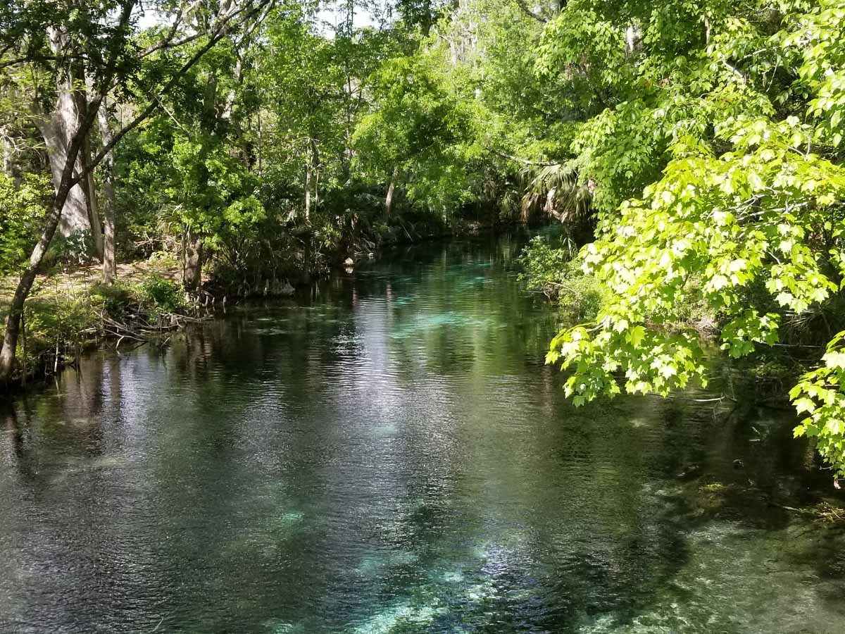 16 Best Places to See and Kayak with Manatees in Florida (+Practical ...