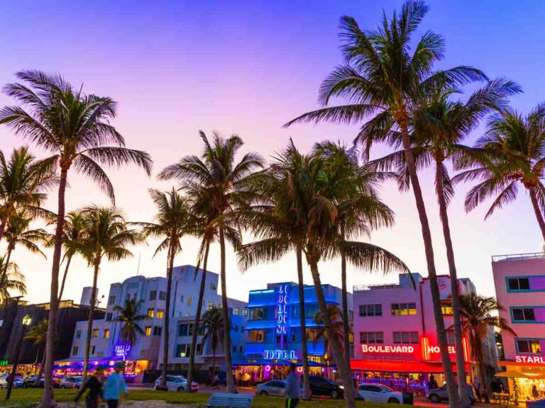 Miami Facts: 33 Interesting Facts About Miami That Will Surprise You ...