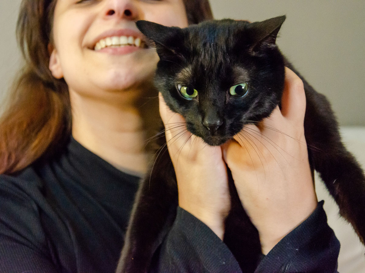 13 Best Cat Cafes in Florida For a Purfect Experience - Florida Travel ...