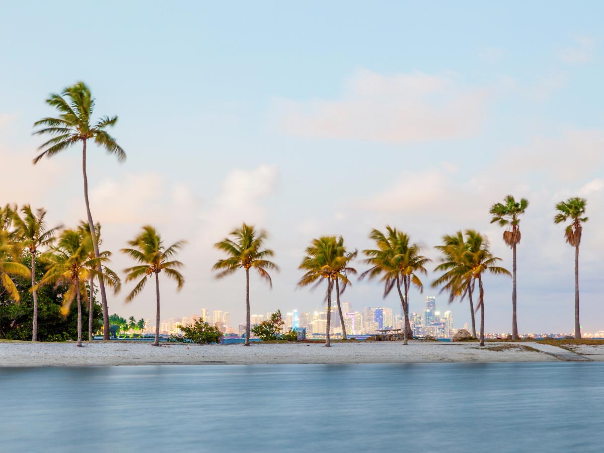 Miami Quotes: 105 Best Quotes About Miami That Will Inspire You ...