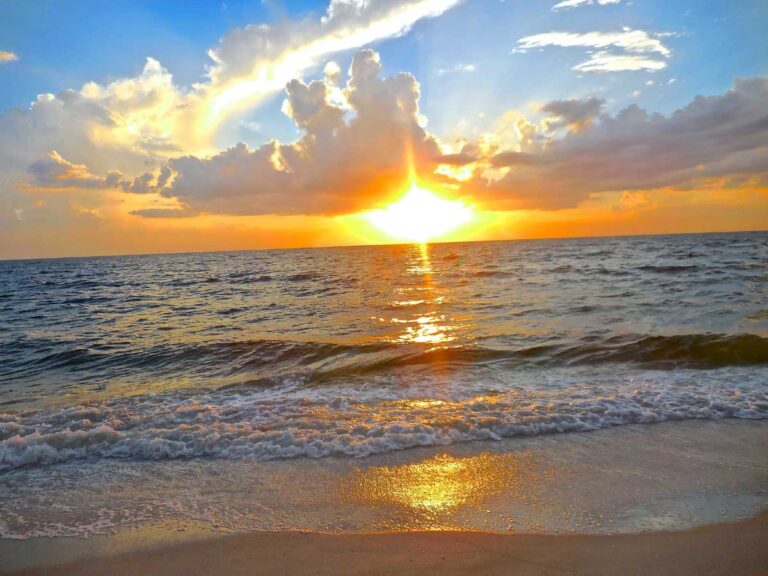 Florida Quotes: 107 Famous Quotes About Florida to Inspire You ...