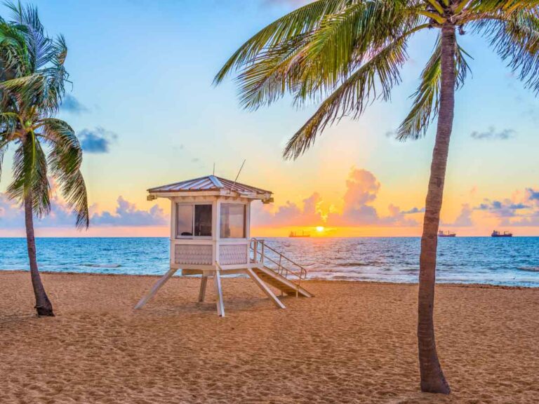 Florida Quotes: 107 Famous Quotes About Florida to Inspire You ...