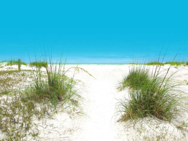 The Ultimate Guide to Manatee Beach on Anna Maria Island, Florida ...