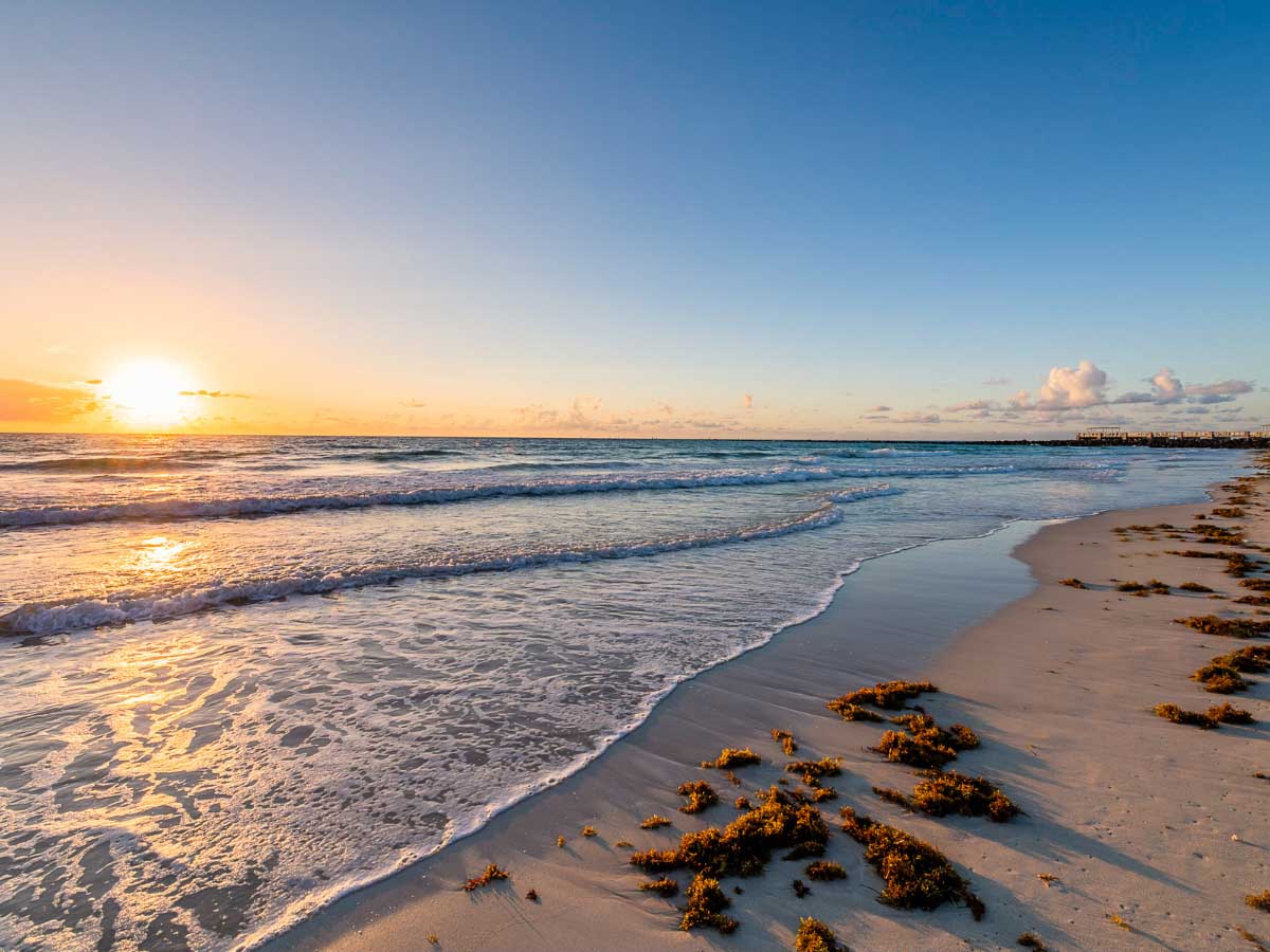 25 Fun Things to Do in Miami at Night - Florida Travel Inspiration