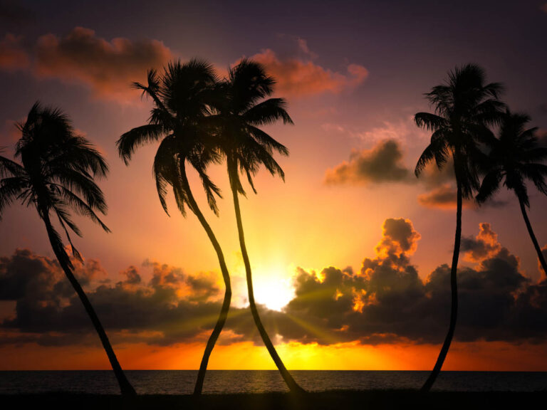 Florida Captions: 105 Best Florida Instagram Captions For Your Photos ...