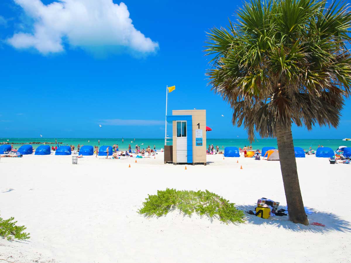 Florida Quotes: 107 Famous Quotes About Florida to Inspire You ...