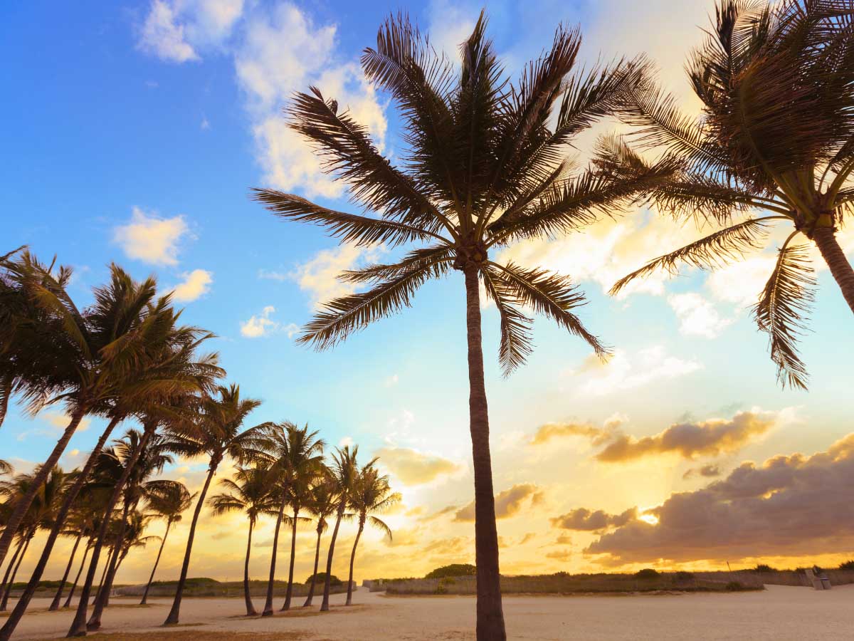 25 Most Instagrammable Places in Miami, Florida - Florida Travel ...
