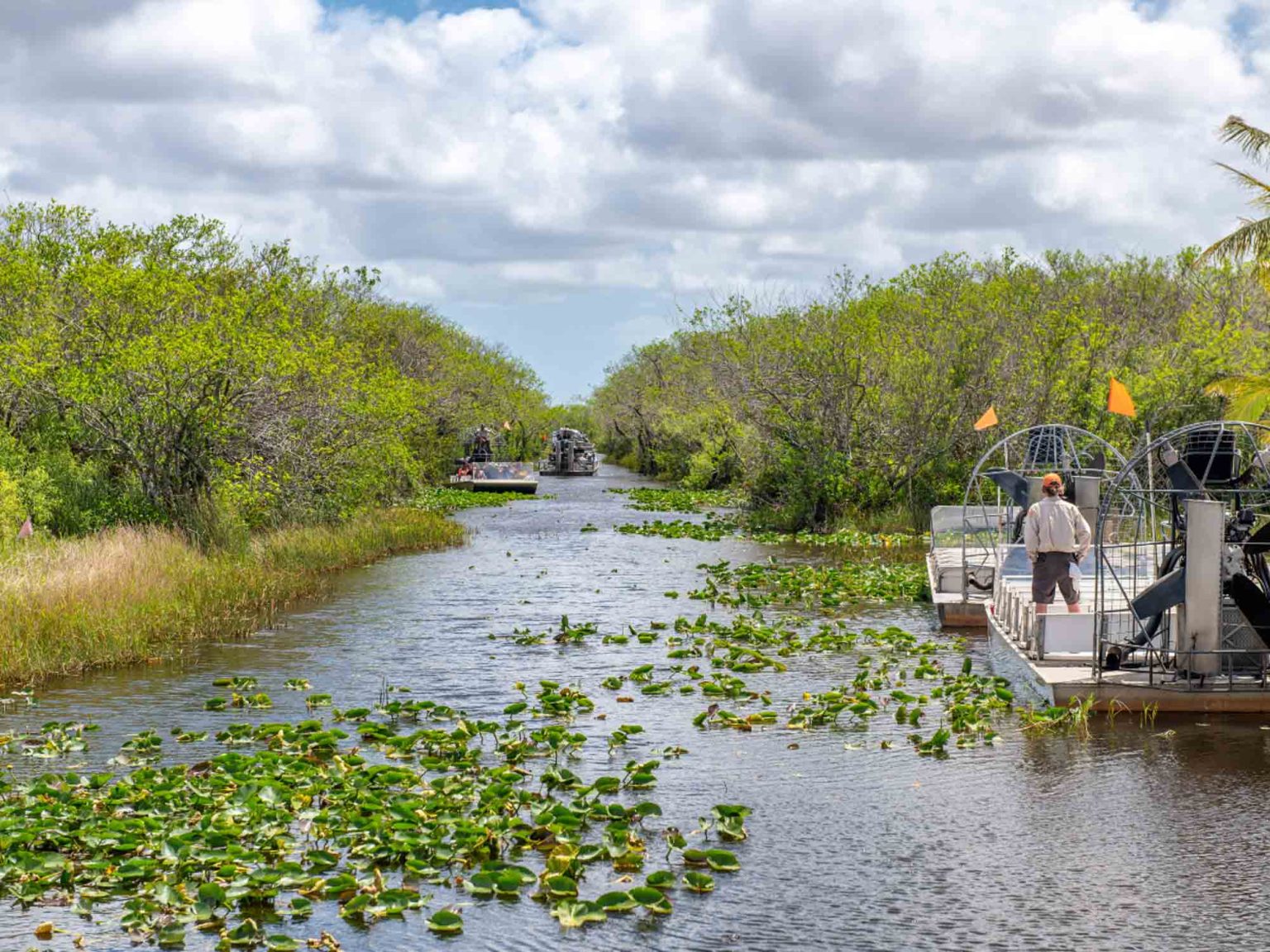 Here Are The 20 Best Outdoor Activities in Miami You Shouldn't Miss ...
