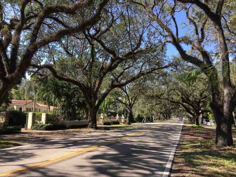 13 Most Famous Streets in Miami You Should See - Florida Travel Inspiration
