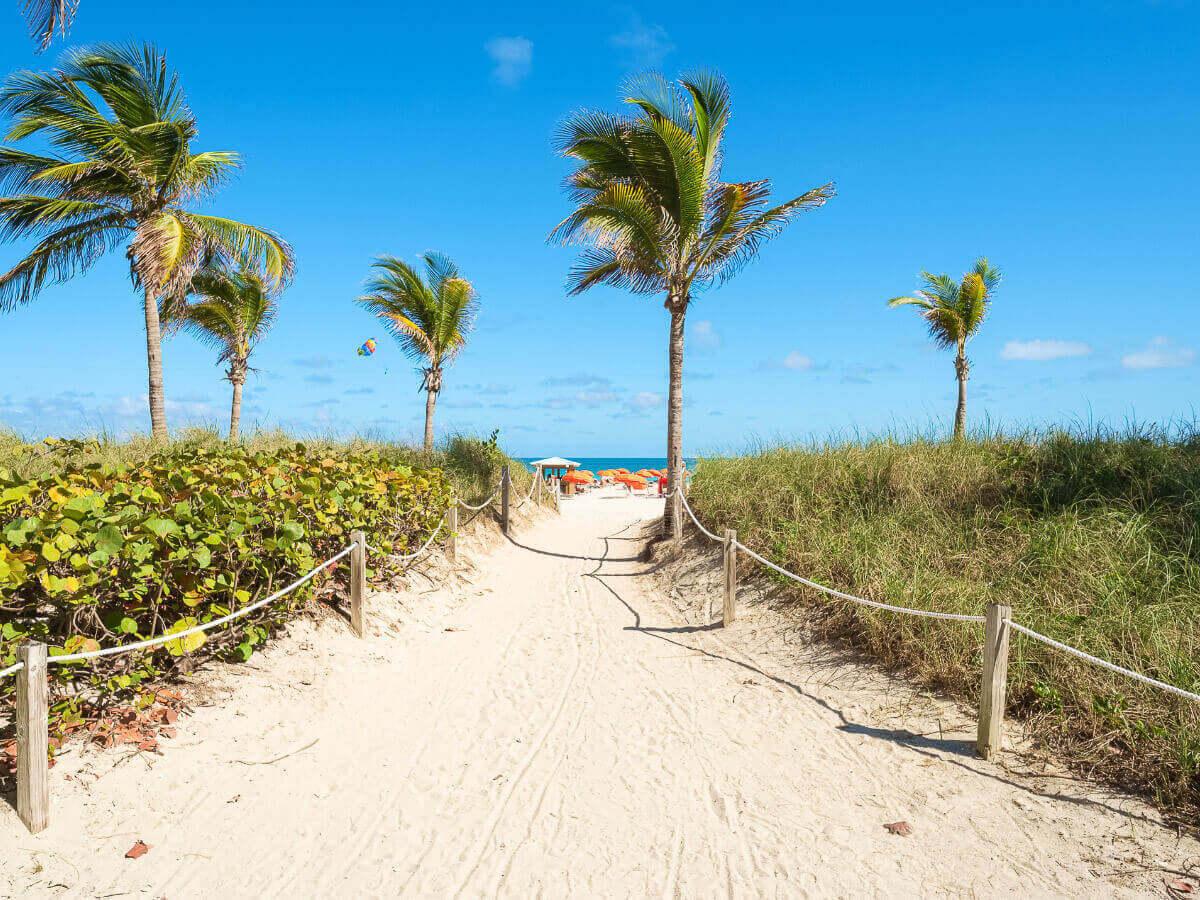 25 Real Pros and Cons of Living In Miami To Help You Make An Informed ...